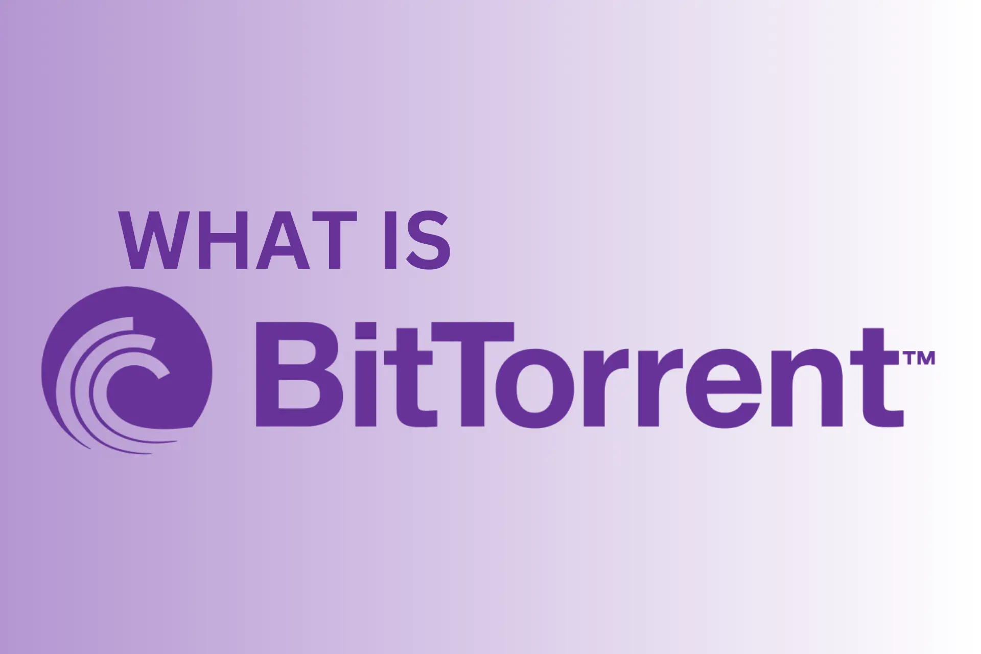 What Is BitTorrent And Is It Safe Guide To Torrenting