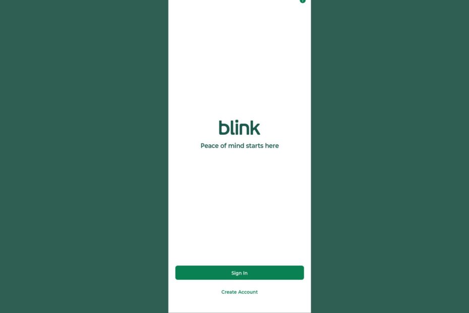 How to Fix Blink App Not Working with VPN: Step-by-Step Guide